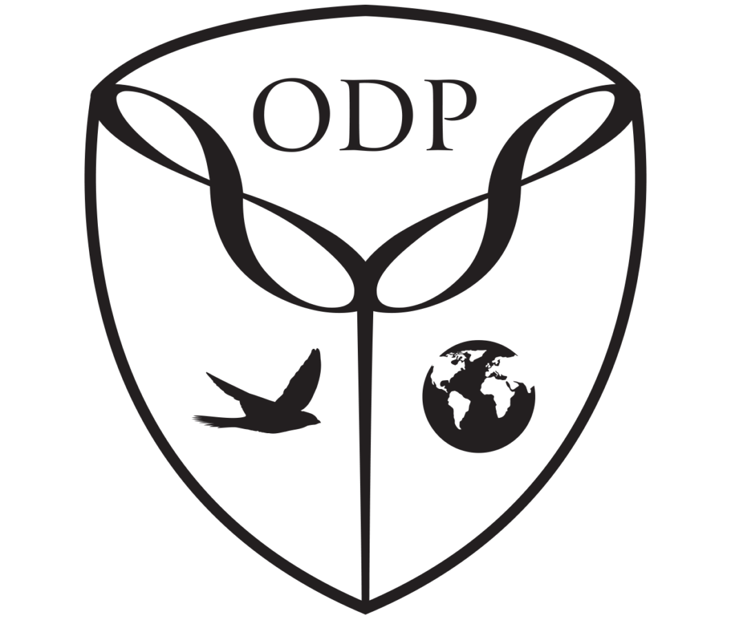 Building company River.ODP. Construction specialists & builders